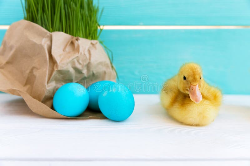 Little Birds Cubs with Easter Eggs on a Blue Background. Spring Concept ...