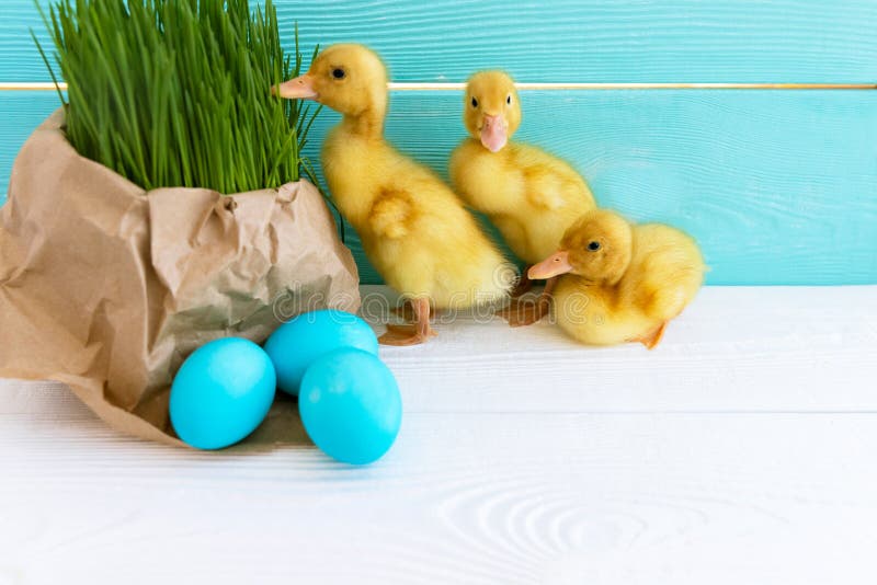 Little Birds Cubs with Easter Eggs on a Blue Background. Spring Concept ...