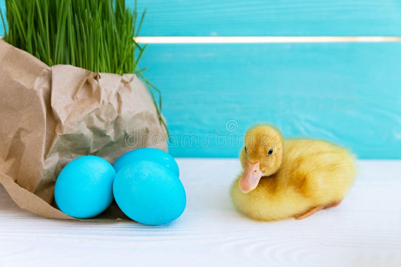 Little Birds Cubs with Easter Eggs on a Blue Background. Spring Concept ...
