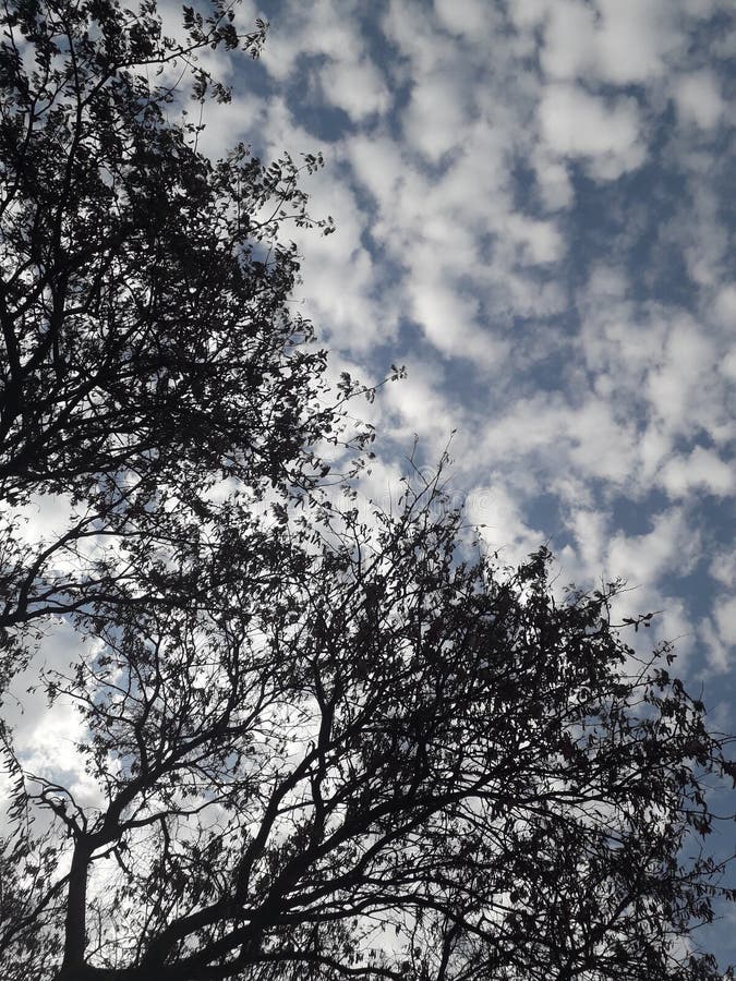 A Little Bit of Light in a Dark Club Stock Photo - Image of black, hand ...