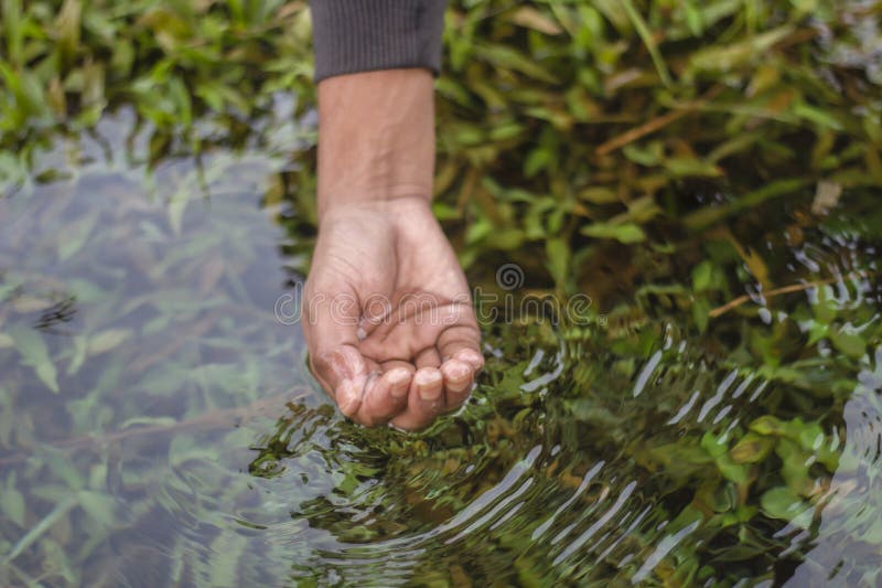 A Little Bit of Water in One Hand and a Blurred Green Background Behind ...