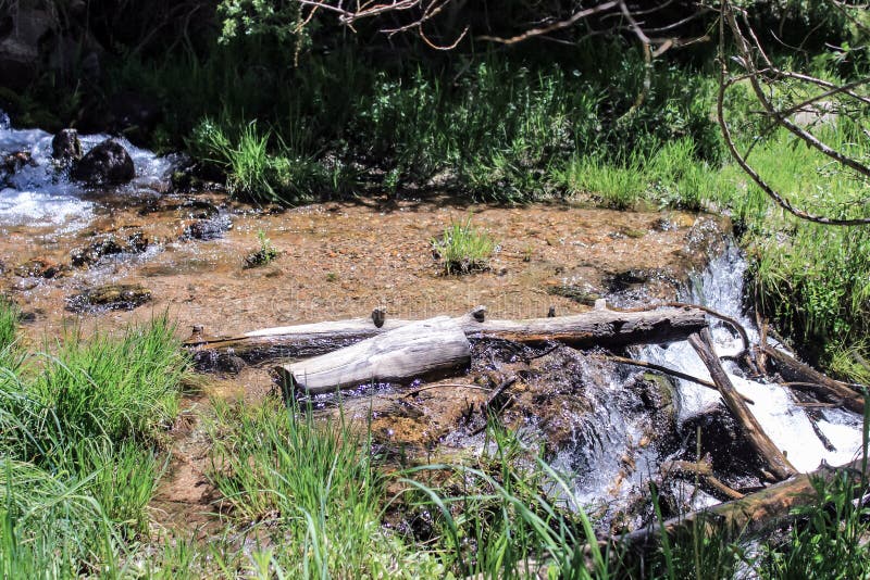 A Little Bit of Water stock image. Image of stream, creek - 118118335