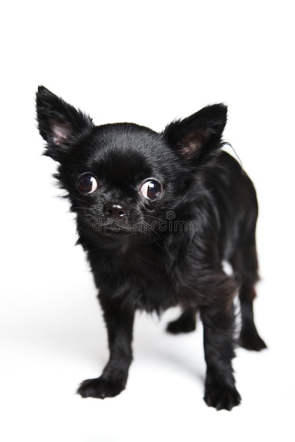 Doxtar - Photographer profile