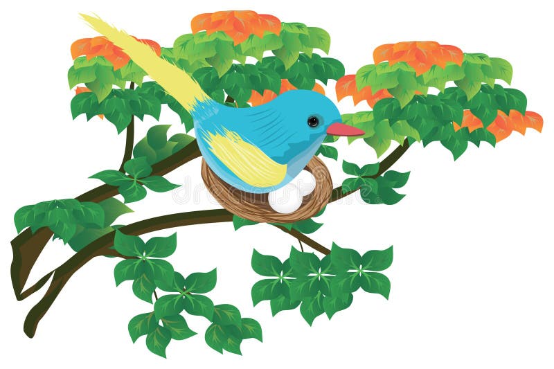 Little Blue Bird with Eggs on the Branch, Vector Design Stock Vector ...