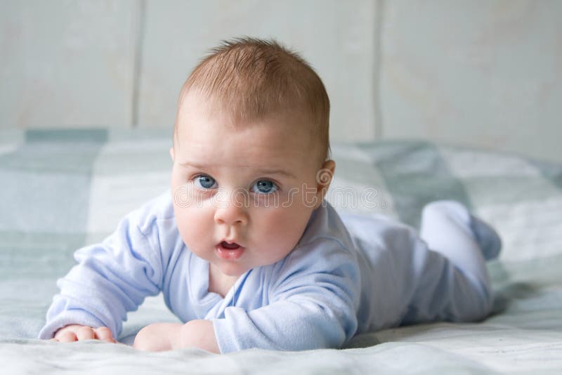 Little boy stock photo. Image of growth, beautiful, little - 5045862
