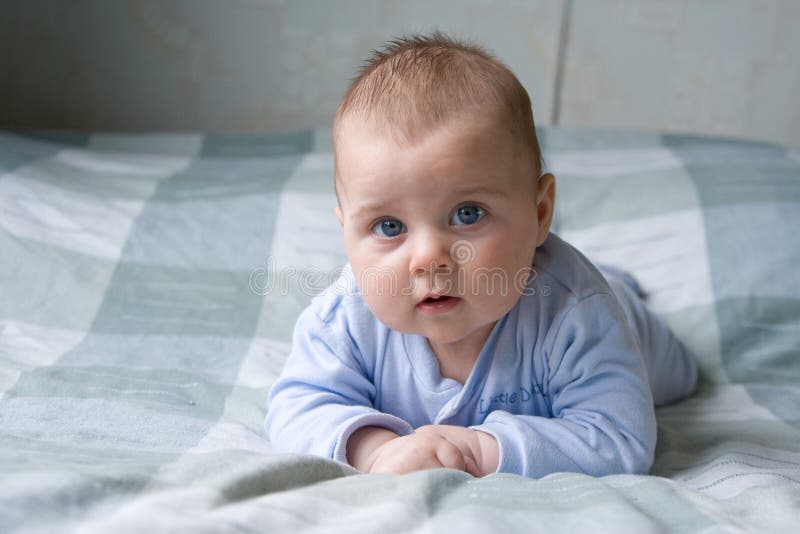 Monkey Boy stock photo. Image of good, cuddly, face, gorgeous - 3393218