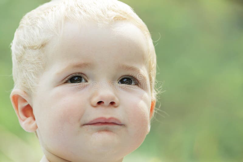 Little boy stock photo. Image of person, childhood, healthy - 54177964