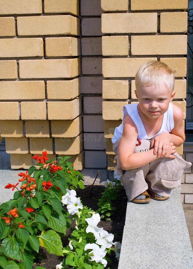 Little Boy Against Yellow Brick Wall Stock Photo - Image of flower ...