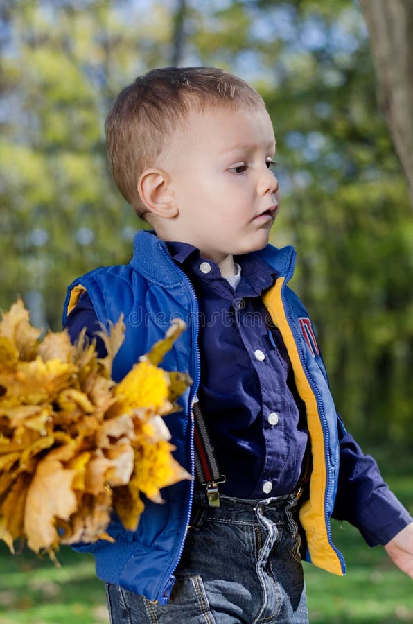 Little Boy with Autumn Leaves Stock Photo - Image of explore, fall ...