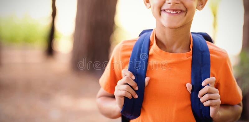 Little Boy Carrying Backpack Stock Image - Image of discovery, computer ...