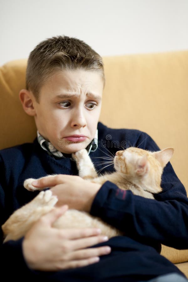 Little boy with cat stock photo. Image of play, schooler - 17007520
