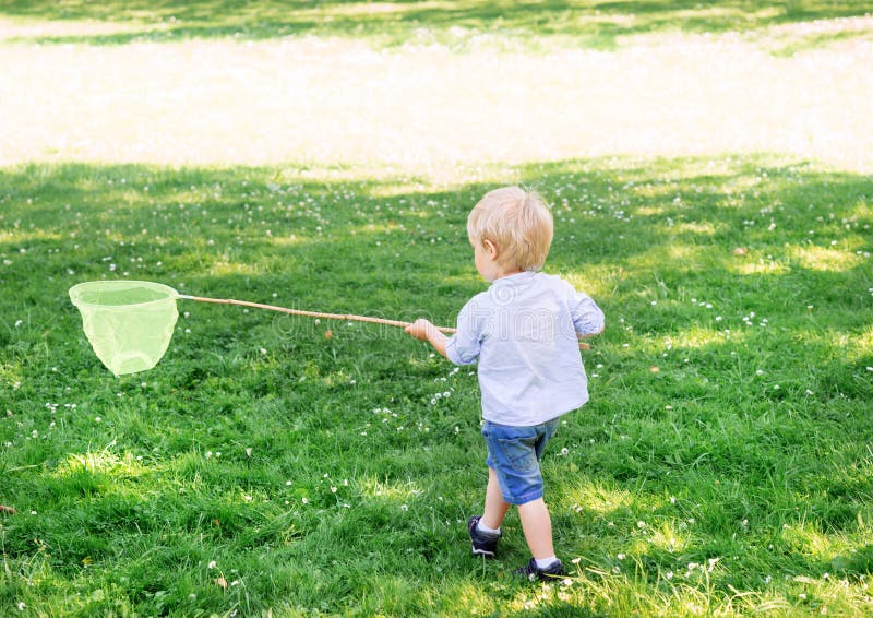Male Catching Butterflies Net Park Stock Photos - Free & Royalty-Free ...