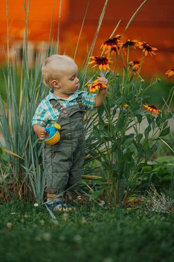 Little Boy Check the Quality of Flowers Stock Image - Image of check ...