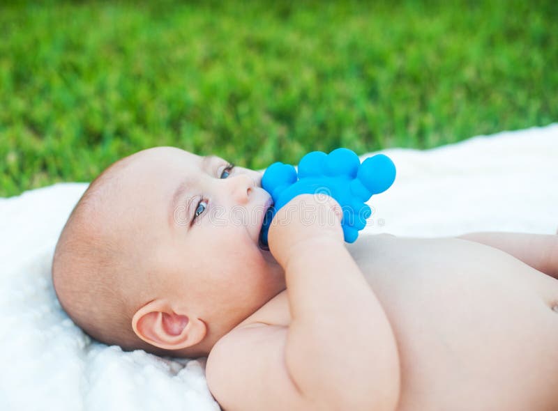 Little Boy Chewing on a Rubber Toy Stock Image - Image of grass, eyes ...