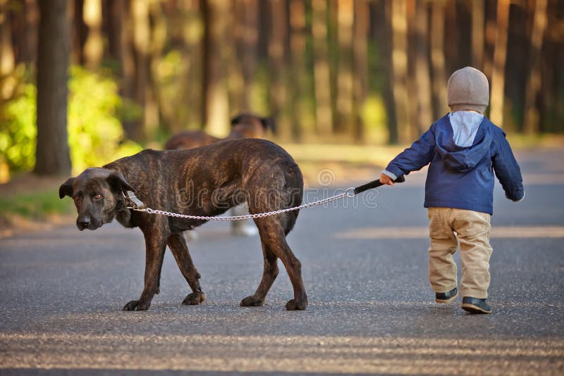 Little Boy Child and Dog Together Outdoors, Back View Editorial Image ...