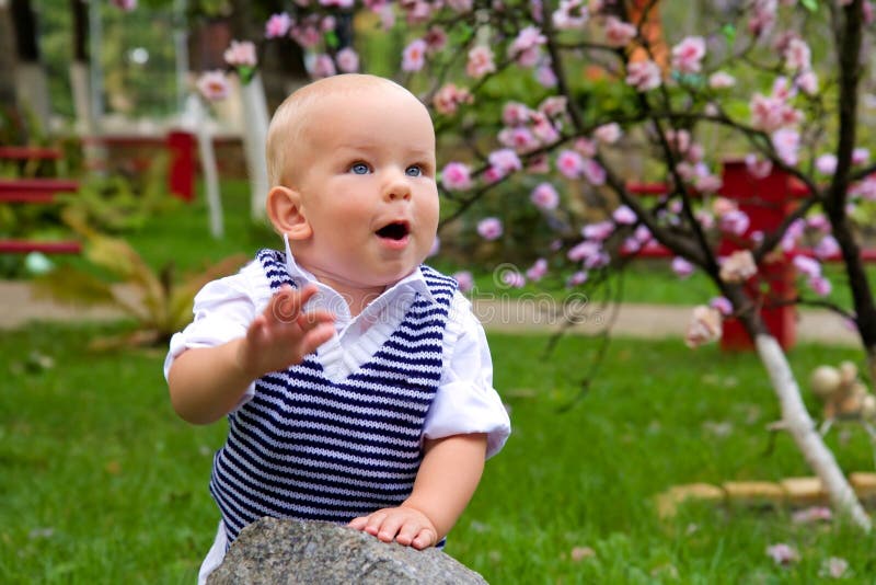 Little Boy Clapping in the Park Stock Photo - Image of flower, nature ...