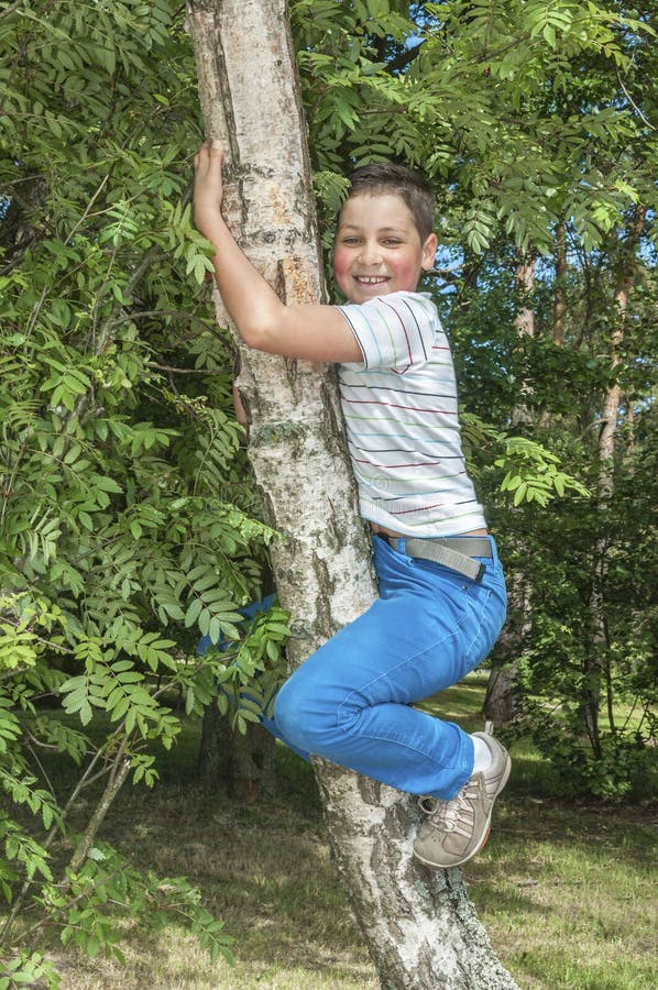 Little Boy Climbing on Tree Stock Photo - Image of emotion, hight ... Little Boy Climbing on Tree Stock Photo - Image of emotion, hight ...