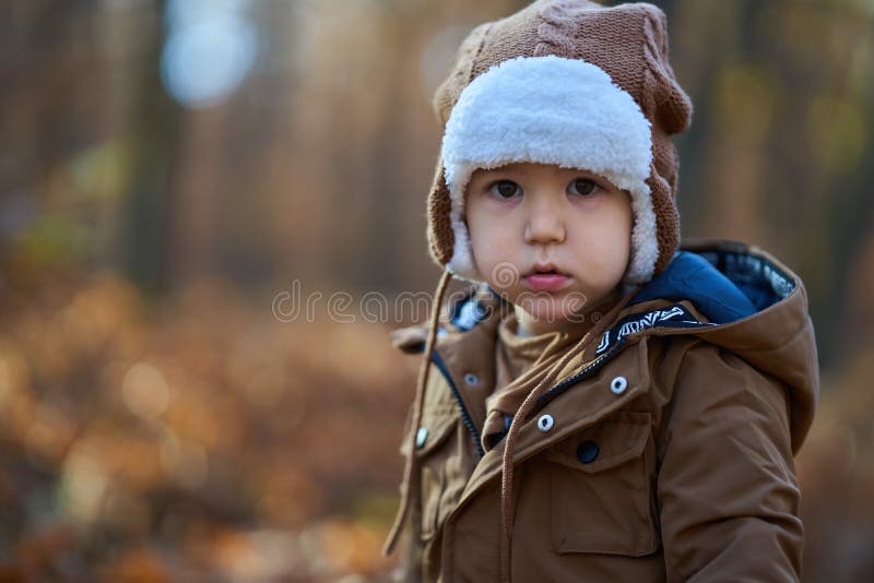 Little Boy in the Forest during Fall Stock Image - Image of colorful ...