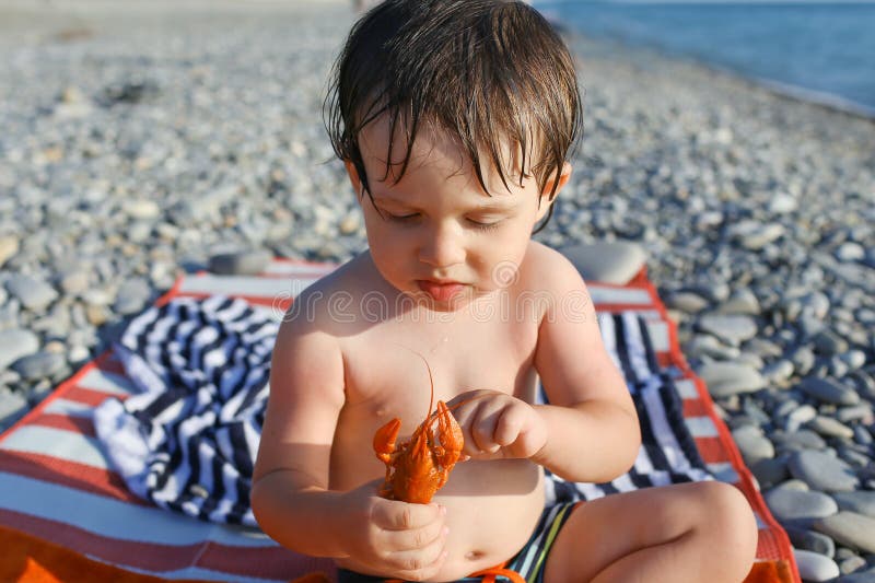 Little Boy with Crawfish on the Seaside Stock Image - Image of fish ...