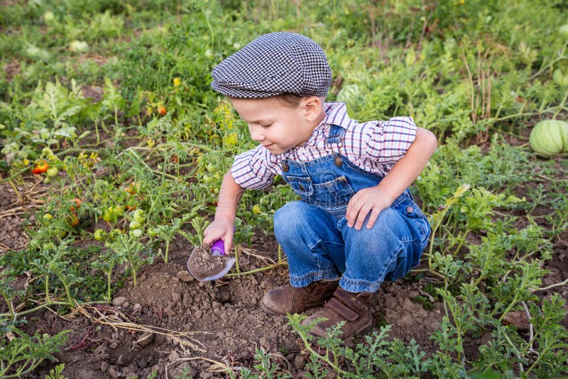 Little Boy Digging in Garden Stock Photo - Image of crop, ground: 70266536