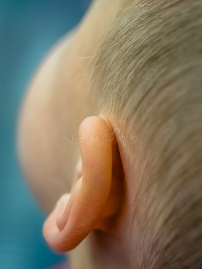 Little boy ear close up stock photo. Image of hear, acoustic - 128882252
