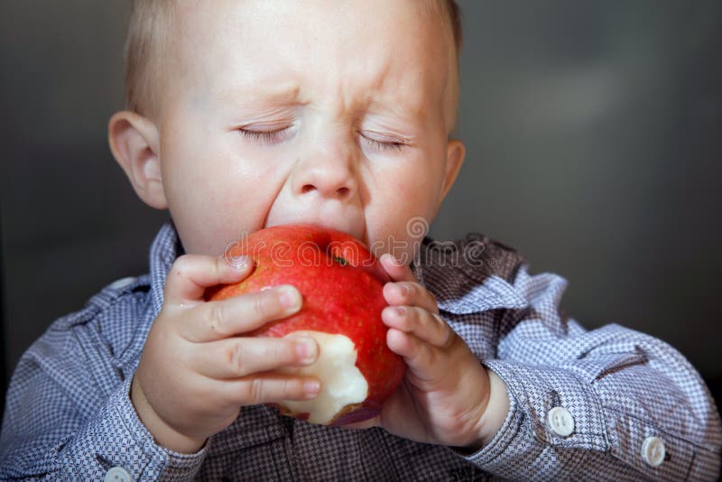 Little boy eating apple stock image. Image of appetizing - 28867697