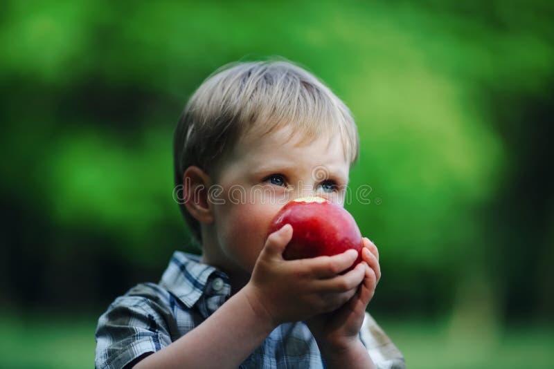 Little Boy Eating Big Red Apple Stock Photo - Image of eating, grass ...