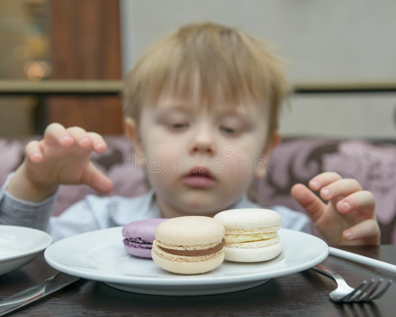 Little boy eating cake stock photo. Image of child, male - 50212336
