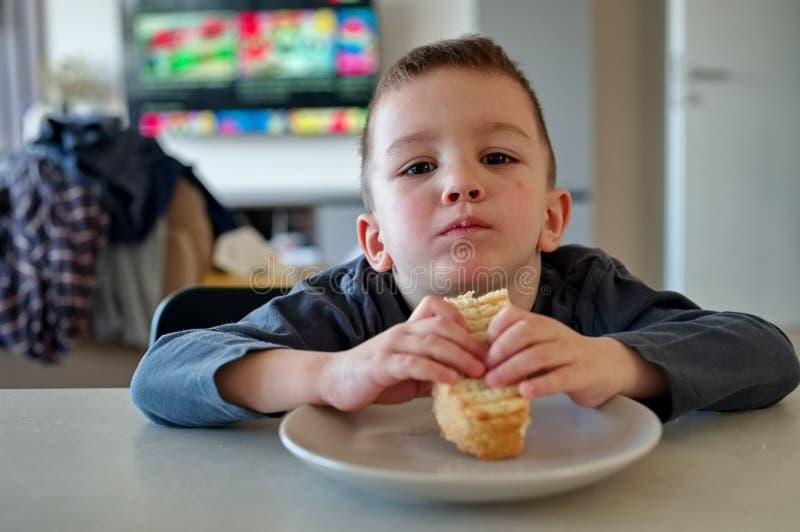 Little boy eating sandwich stock image. Image of soft - 373560343