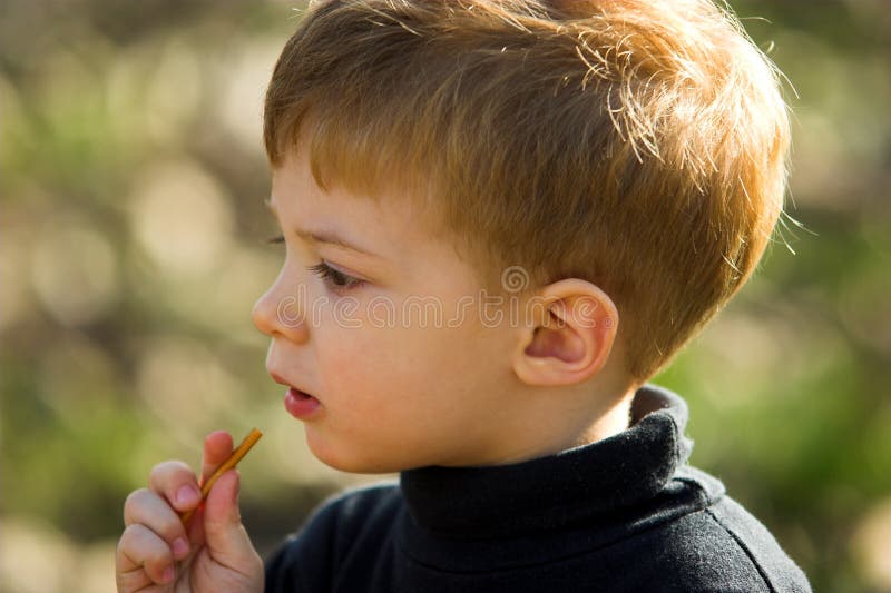 A Little Boy Eating Short Stick Stock Photo - Image of little, play ...