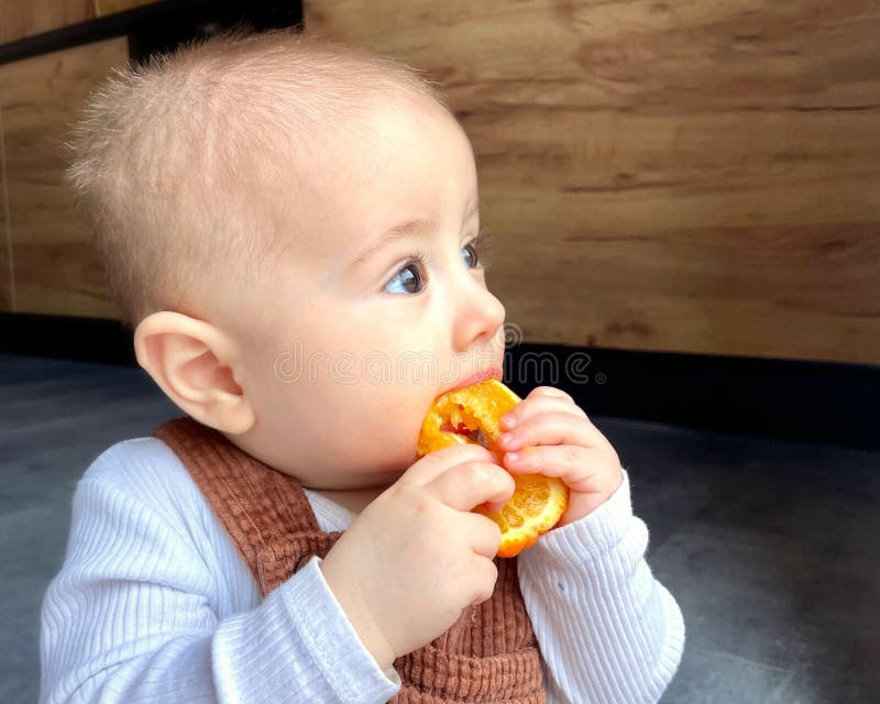 A Little Boy Eats a Piece of Orange by Himself Stock Image - Image of ...