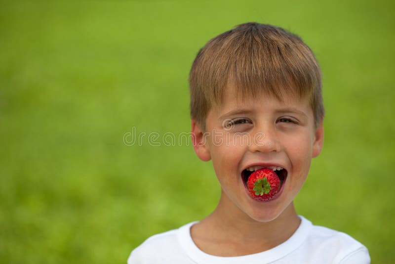 Little Boy Eats a Strawberry Stock Photo - Image of happy, person: 27775088