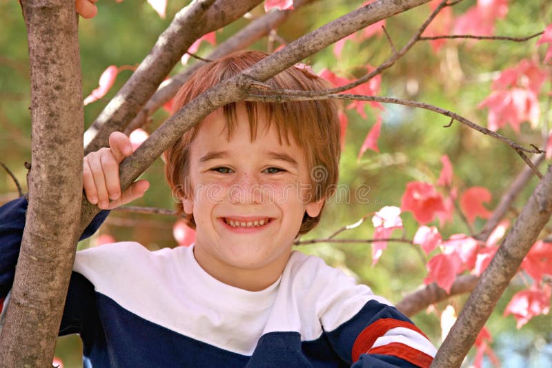 Jongens Die Een Grote Boom Beklimmen Stock Foto - Image of gezelschap ...