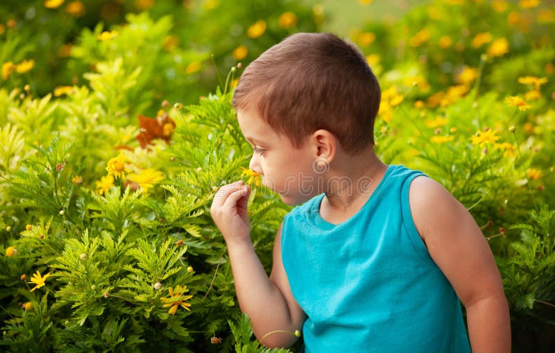 Little Boy with a Flower in the Park Stock Photo - Image of beauty ...