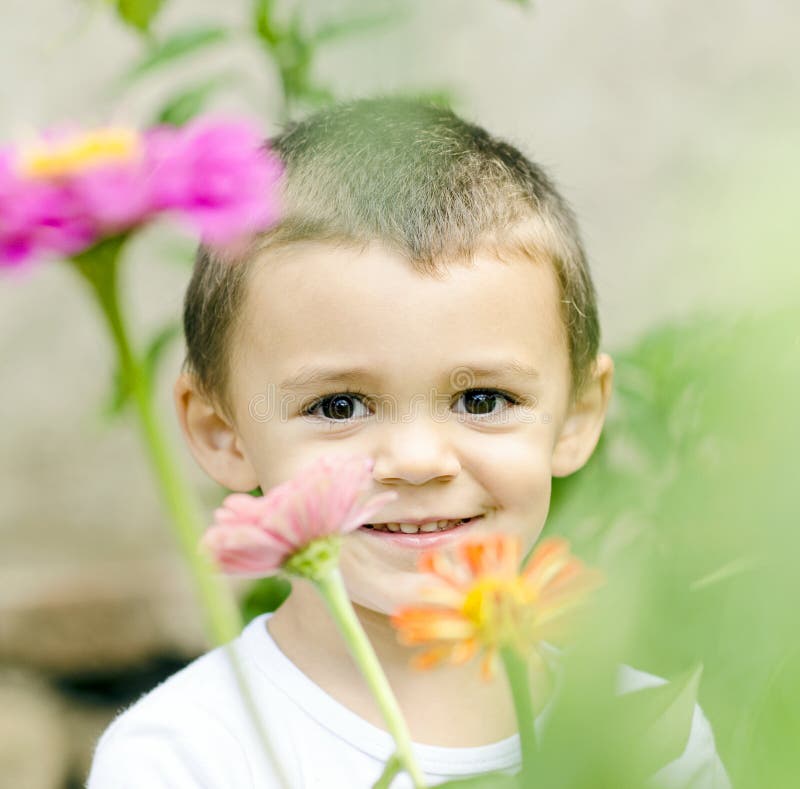 Little boy in flowers stock photo. Image of outdoor, seasonal - 43700234