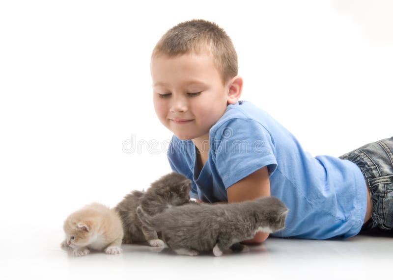 The Little Boy with a Fluffy Kitten Stock Photo - Image of little ...