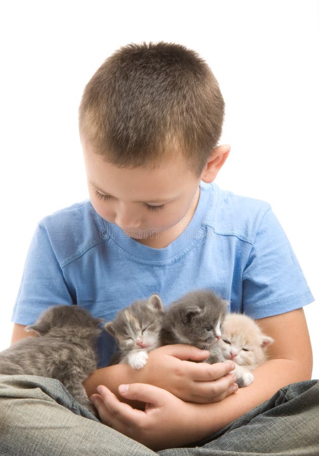 The Little Boy with a Fluffy Kittens Stock Photo - Image of face ...