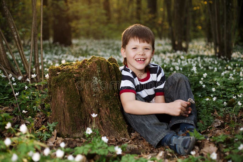 Little Boy in Forest on Flowers Field Stock Photo - Image of outdoors ...