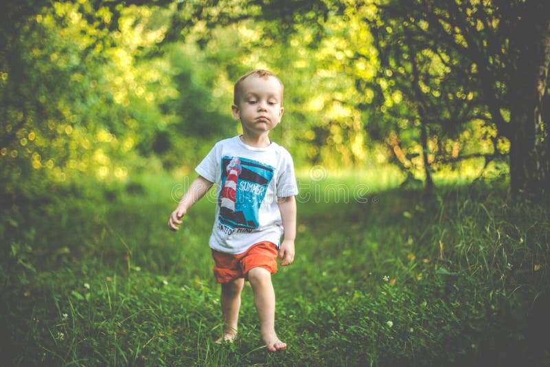 Little boy in forest stock photo. Image of happiness - 156617270