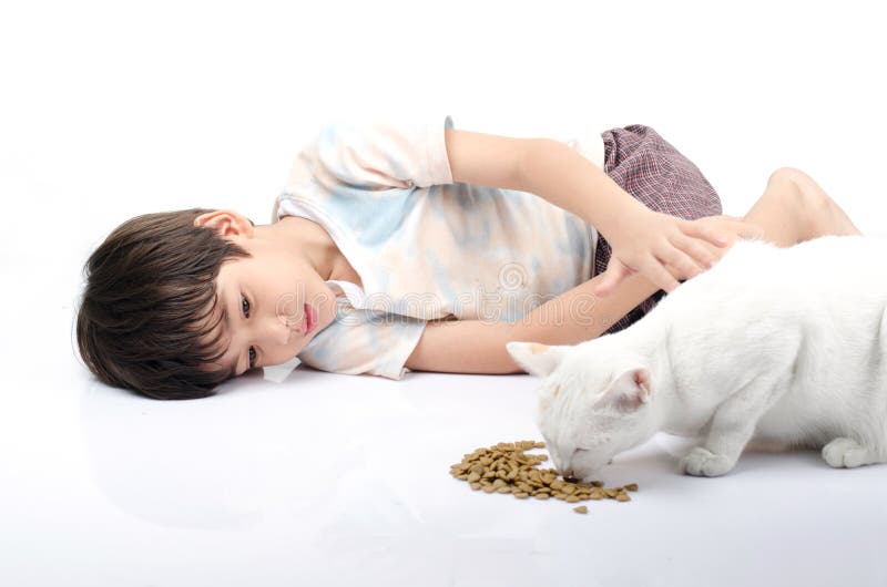 Little Boy Giving Food Cat Stock Photos - Free & Royalty-Free Stock ...