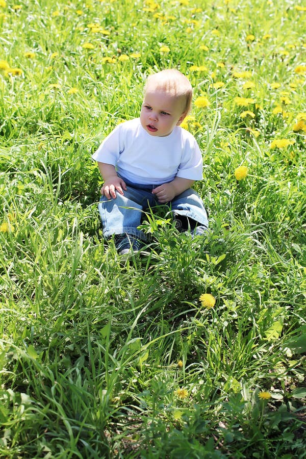 Little boy on grass stock image. Image of child, childhood - 19631619
