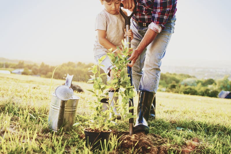 Little Boy Helping To Plant a Tree Stock Image - Image of living ...