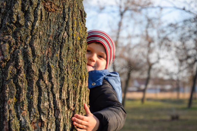 Little Boy is Hiding Behind a Big Tree. a Child Peeks Out from Behind a ...