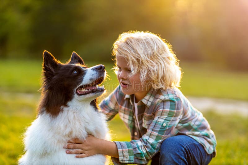 Little Boy with His Pet Dog Outdoors Stock Photo - Image of love, happy ...