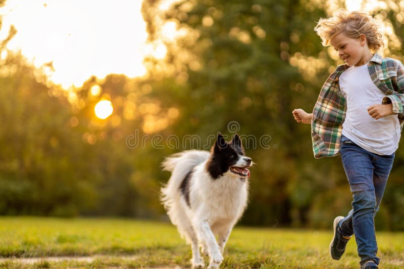 Little Boy with His Pet Dog Outdoors Stock Photo - Image of little ...
