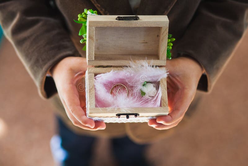 Little Boy Holding the Box with Wedding Rings Stock Image - Image of ...