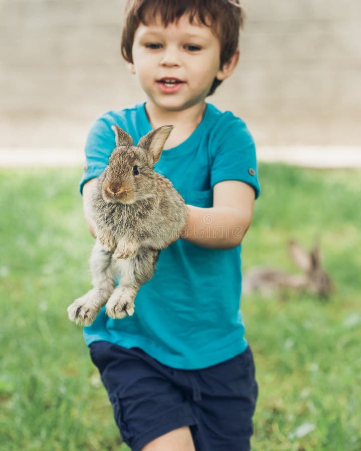Little Boy is Holding a Bunny at the Farm Stock Photo - Image of green ...