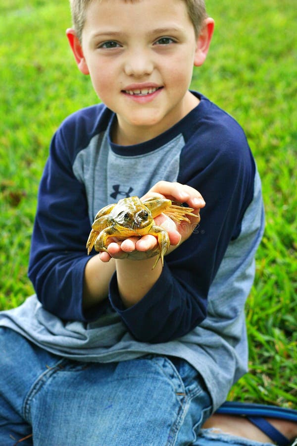 Little boy holding a frog stock image. Image of frog - 13321027