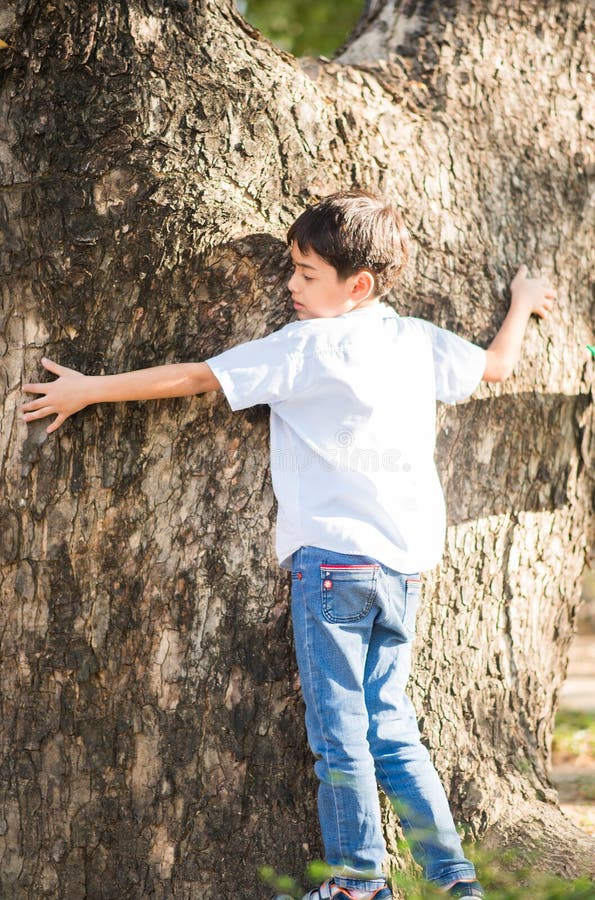 Boy Hugging Big Tree Stock Photos - Download 87 Royalty Free Photos