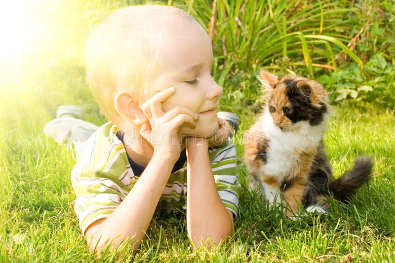 Little boy with a kitten stock image. Image of look, healthy - 12033457